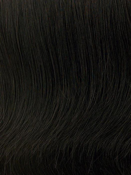 Classic Fling Wig by Hairdo | Heat Friendly Synthetic (Traditional Cap ...